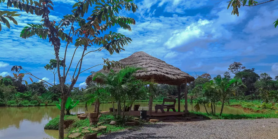 Cameroon Travel Guide: Best Time | Trave and Diaries