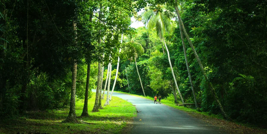 Equatorial Guinea Travel Guide: Safety, | Trave and Diaries