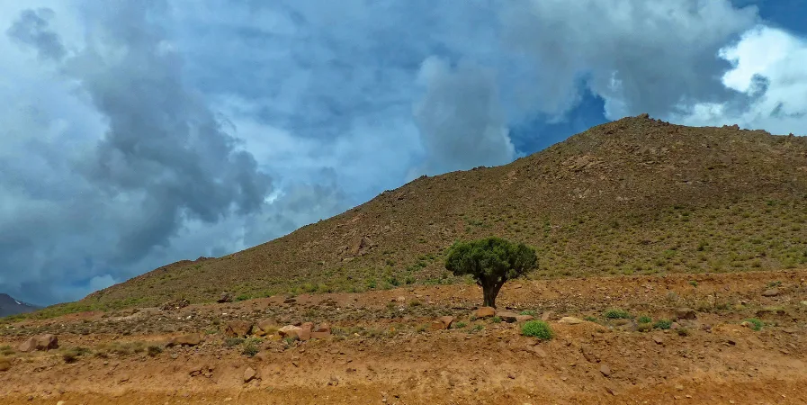 Eritrea Travel Guide: Safety, | Trave and Diaries