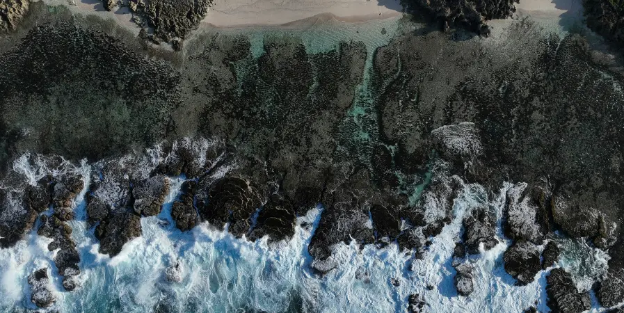 Tonga Travel Guide: Best Time to Visit | Trave and Diaries