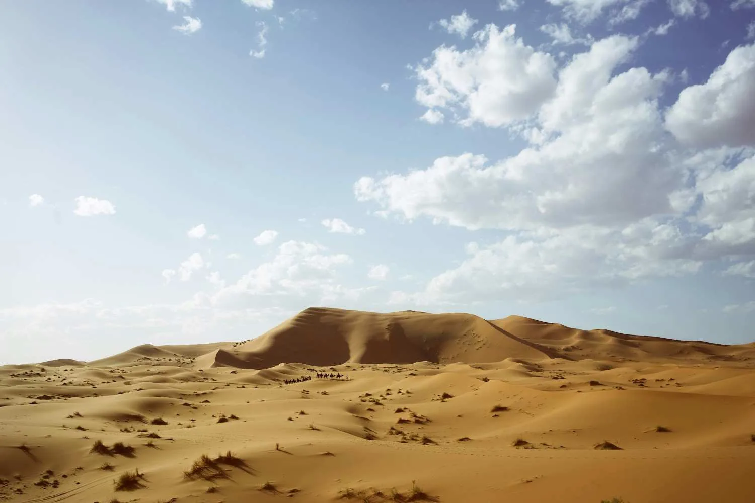 Forecast Doha: 2025 Extreme Weather & Survival Tips