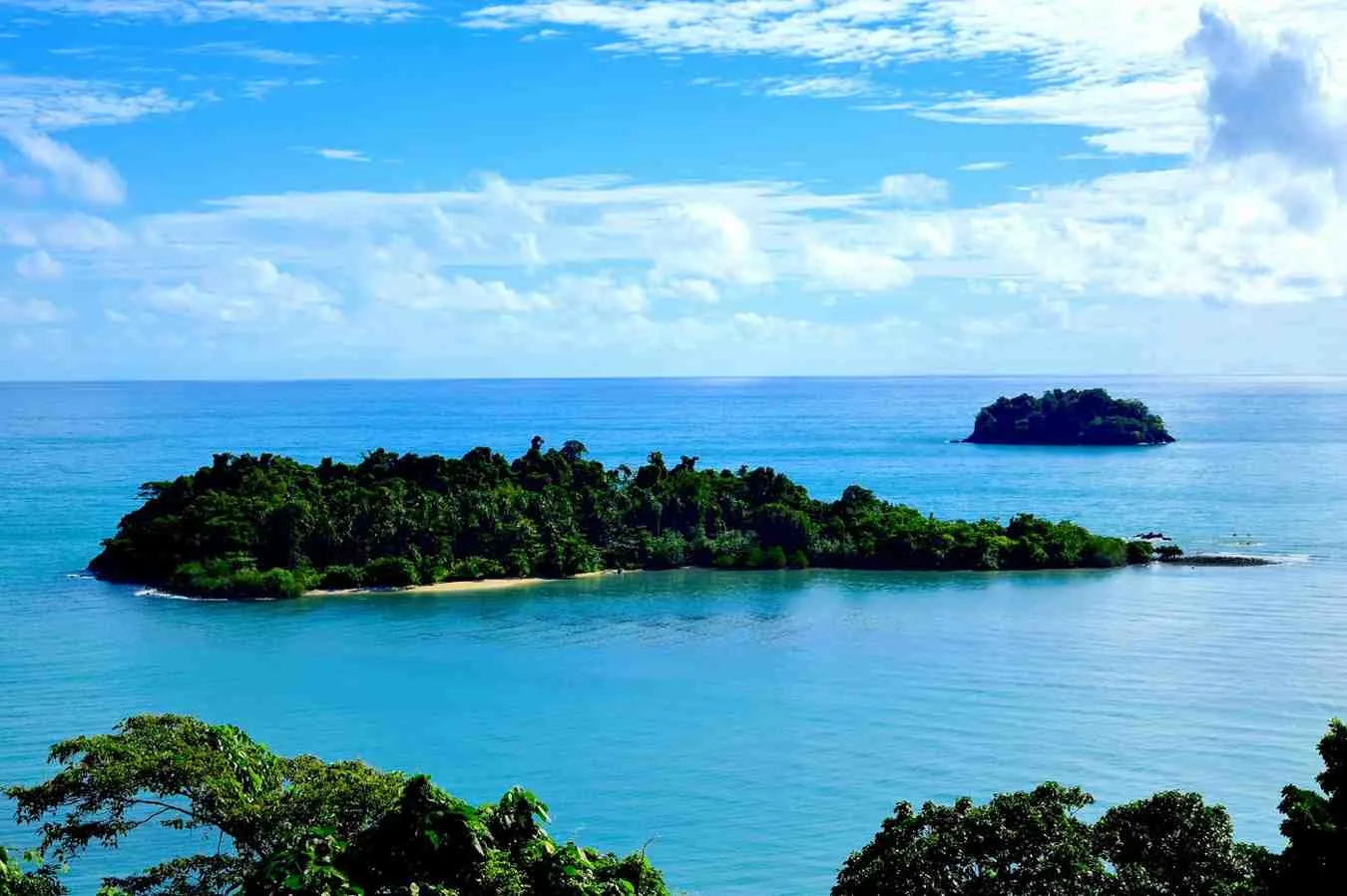 Best Time to Visit Palau: Weather, Diving & Festivals Guide